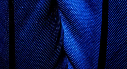 Top Geopolitical Risks of 2025 | S&P Global