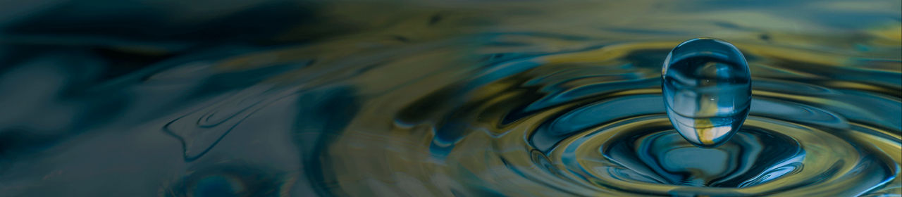 Climate Group CEO talks momentum in the face of obstacles | S&P Global