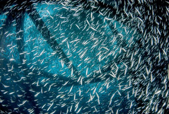 The Evolution of Deglobalization | S&P Global