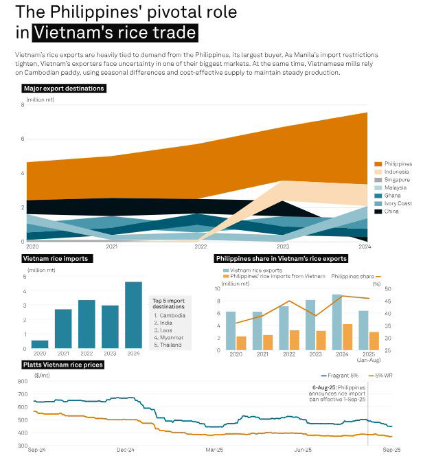 INFOGRAPHIC: The Philippines' pivotal role in Vietnam's rice trade | S ...
