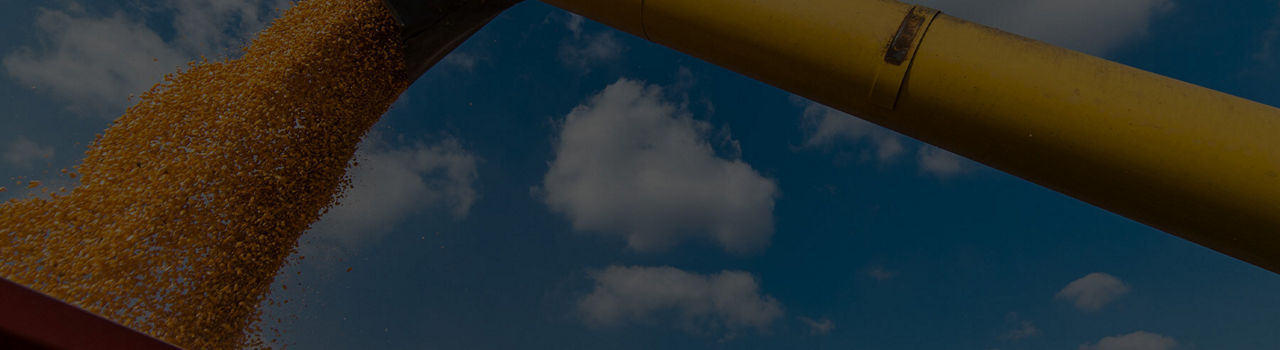 AgriBusiness | S&P Global