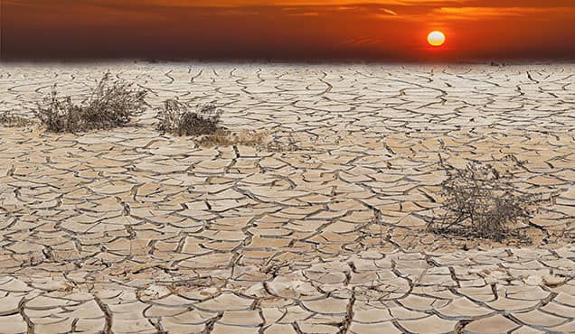 Resource shortages likely to disrupt critical supply chains in South ...